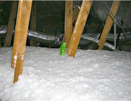 eShield Photo 2